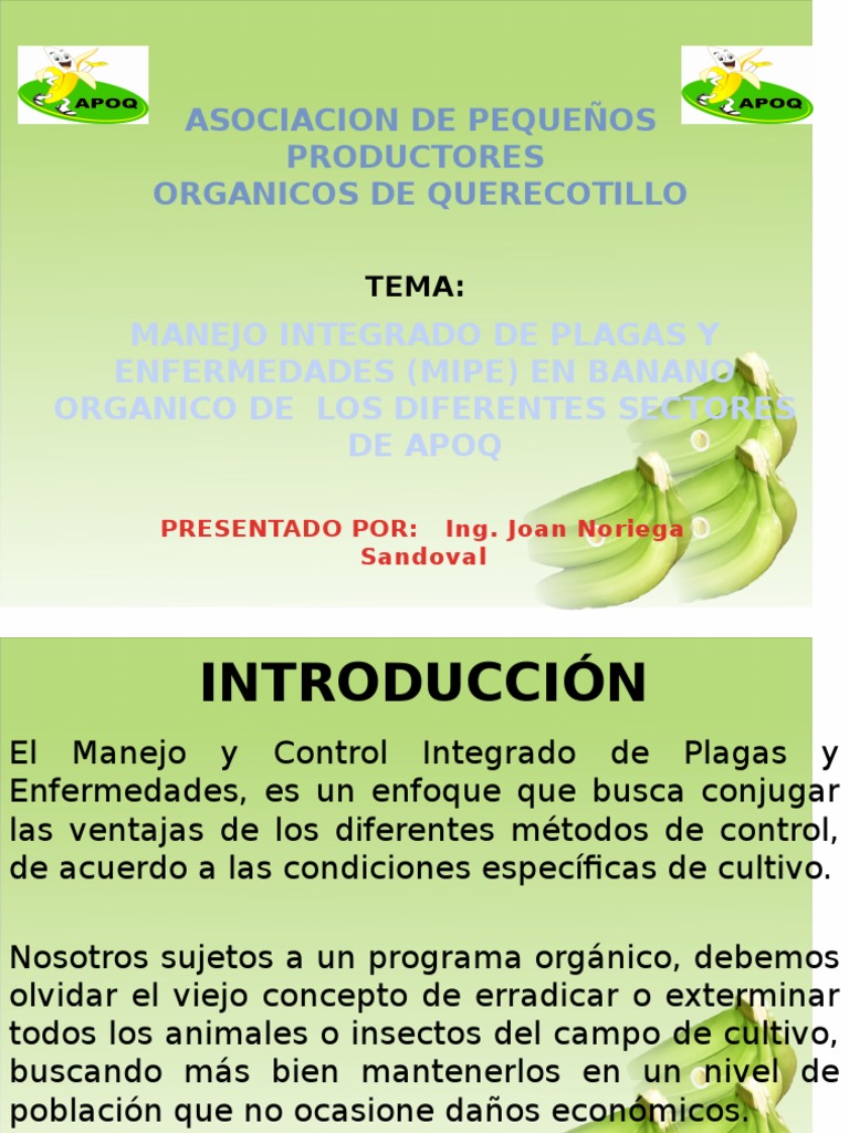 Manejo Integrados de Plagas | PDF | Plaga (organismo) | Bienestar