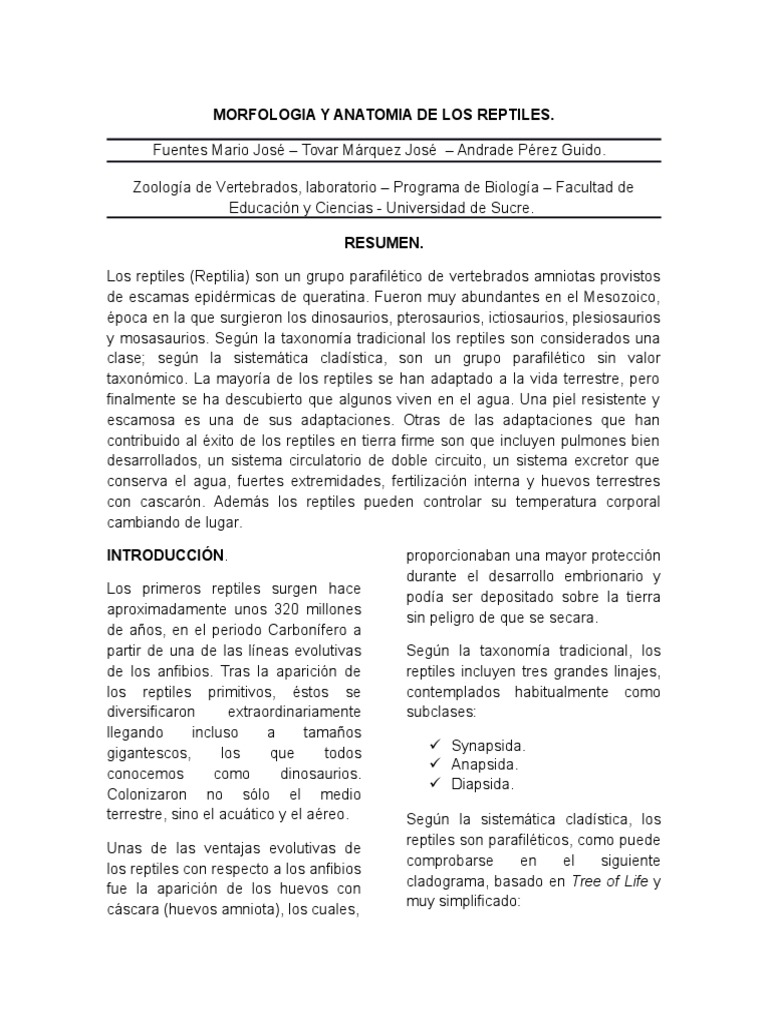 Morfologia y Anatomia de Los Reptiles | PDF | Reptil | Pulmón