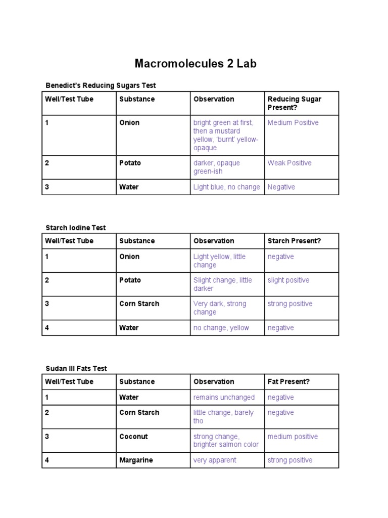 Macromolecules 2 Lab | PDF | Starch | Margarine
