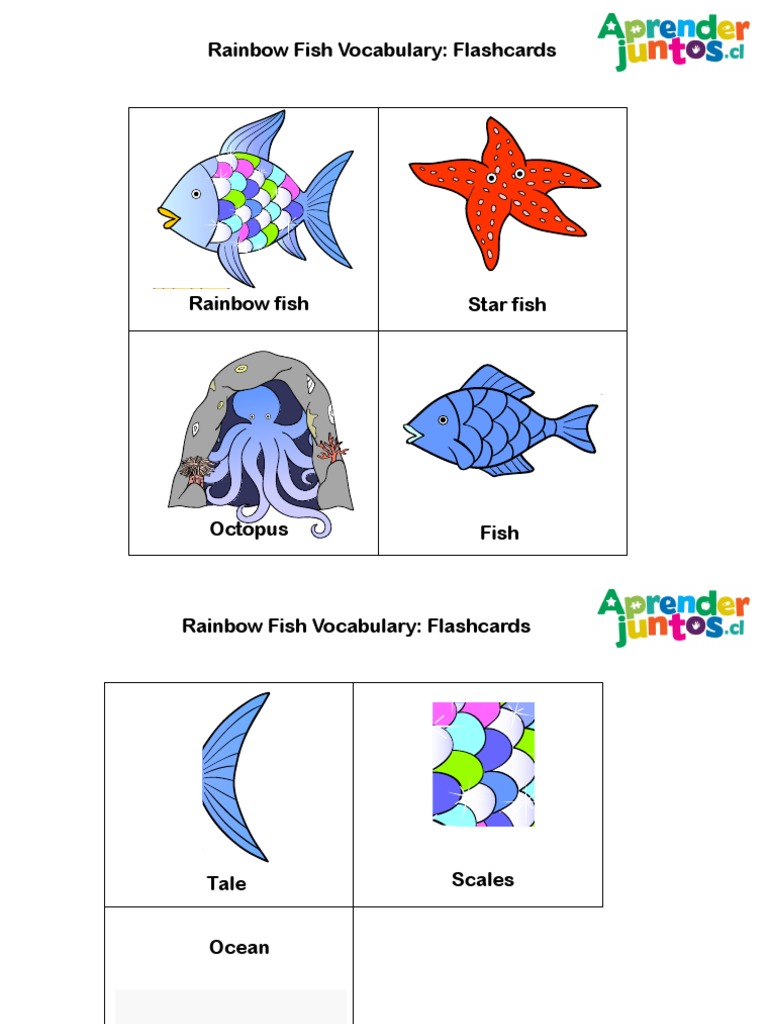 Rainbowfish Flashcards | PDF