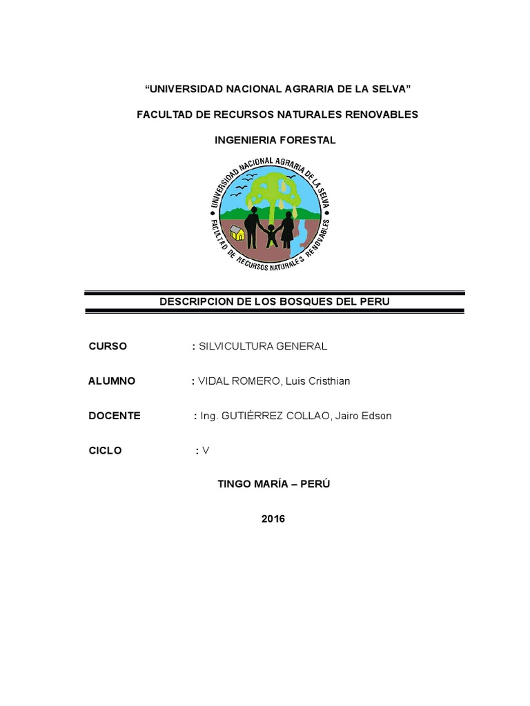Descripcion de Los Bosques Del Peru | PDF | Selva | Andes