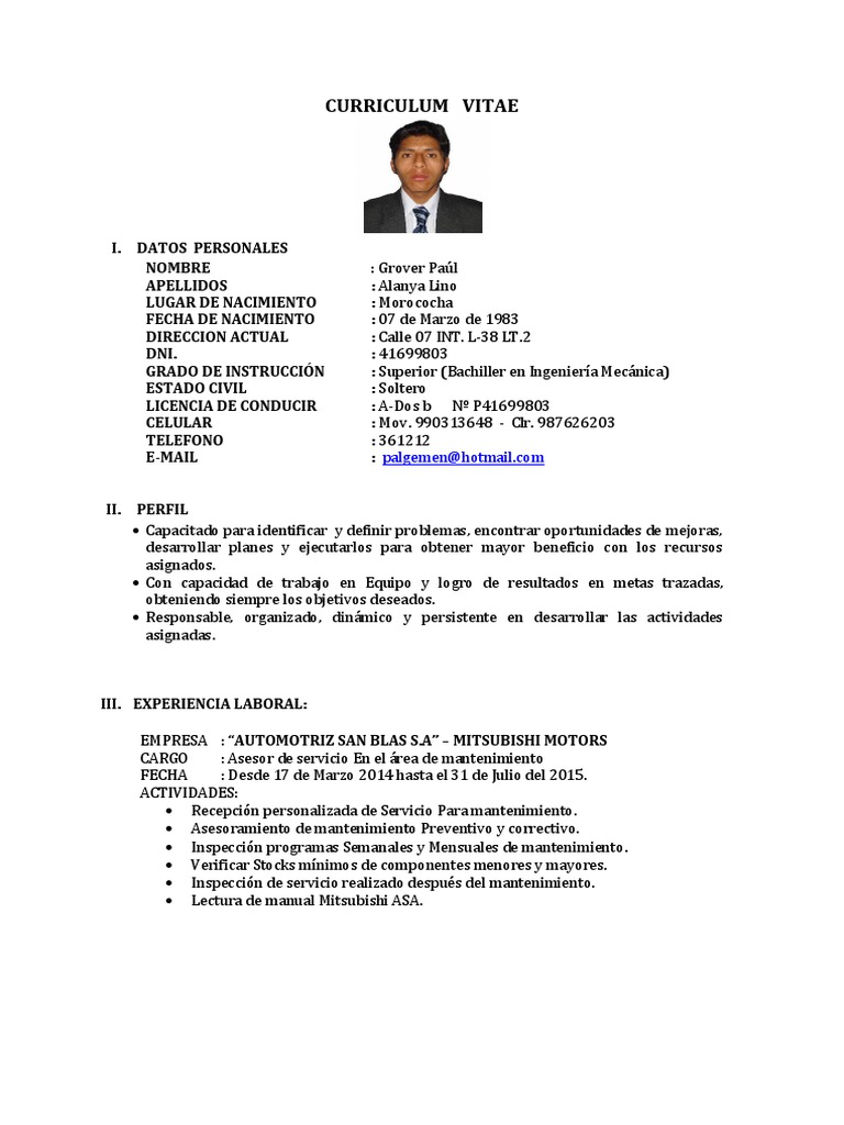 Curriculum Vitae Paul | PDF | Ingeniería | Educación Secundaria