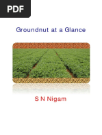 Zambia Groundnut Guide | PDF | Peanuts | Agriculture