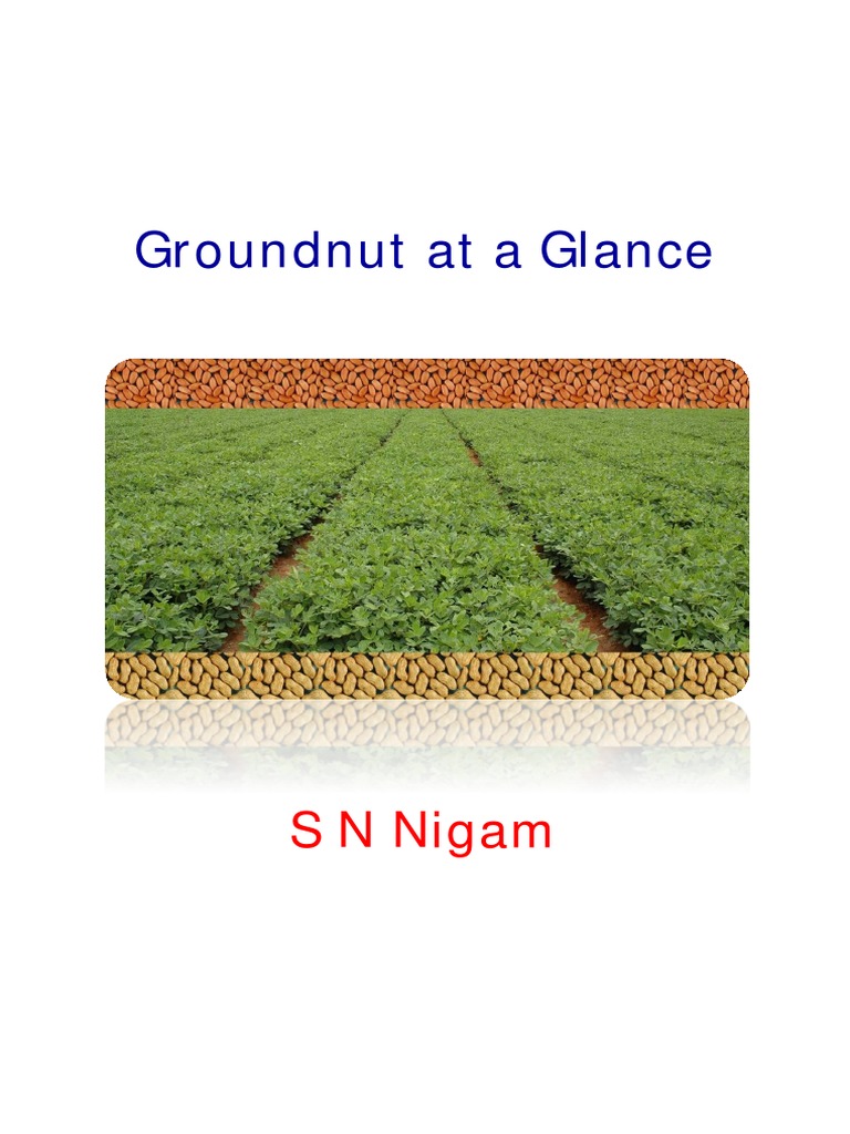 Groundnut Varieties and Characteristics | PDF | Peanuts | Flowers