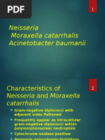 Spaulding Classification of Instruments | PDF | Hospital Acquired ...