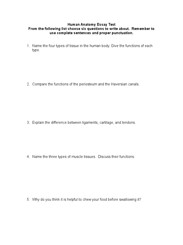 Human Anatomy Essay Test From The Following List Choose Six Questions ...