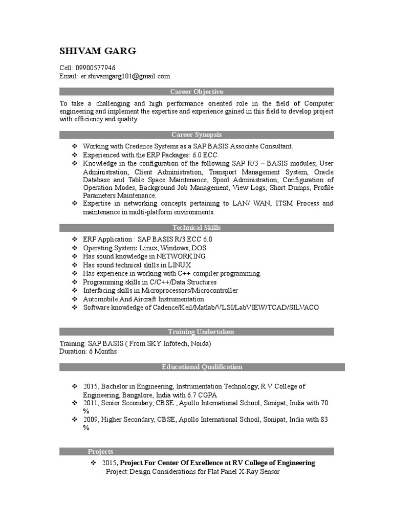 SAP BASIS Consultant Profile | PDF | Sap Se | Enterprise Resource Planning