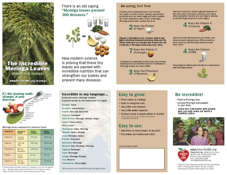 Moringa Brochure | PDF | Magnesium | Vitamin