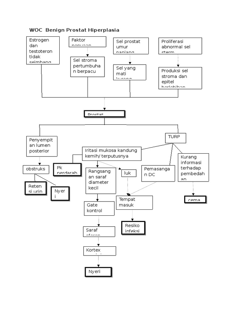 WOC Benign Prostat Hiperplasia | PDF