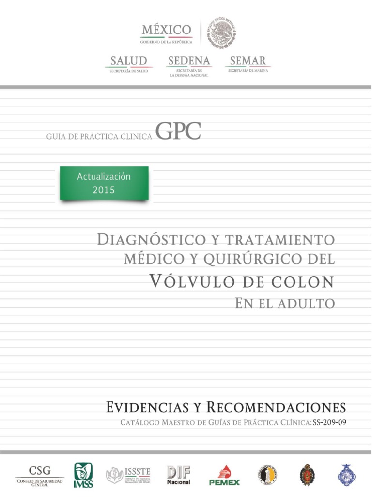 Guia de Practica Clinica Volvulo Sigmoides | PDF | Intestino grueso ...