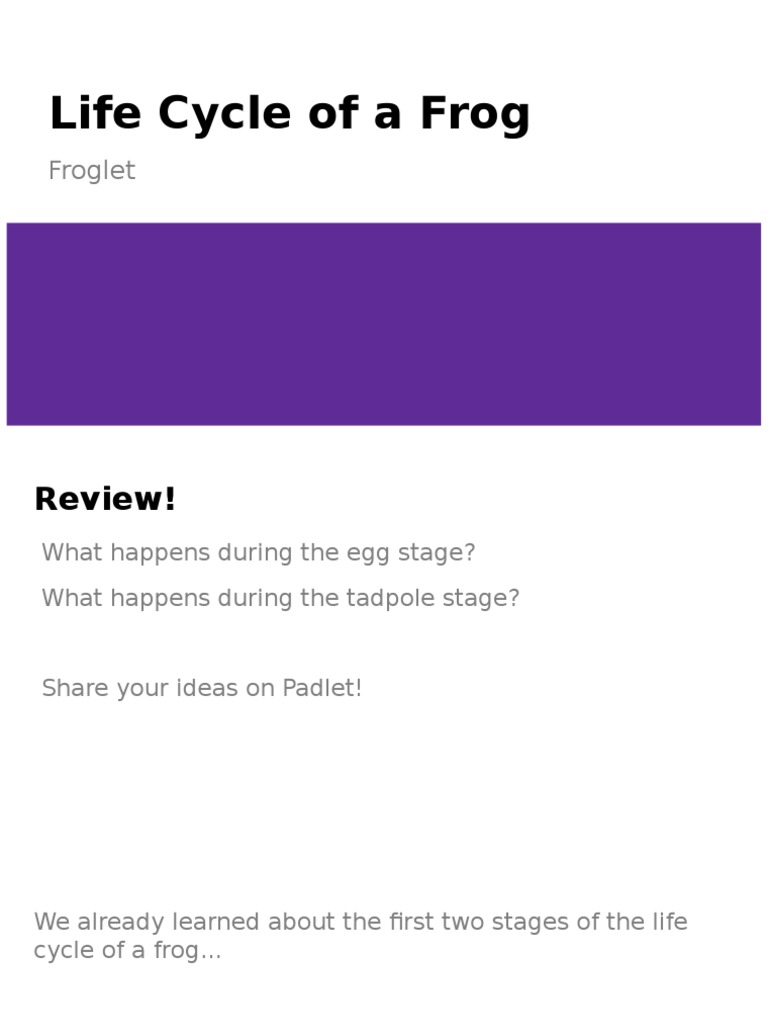 Froglet Stage in Life Cycle | PDF