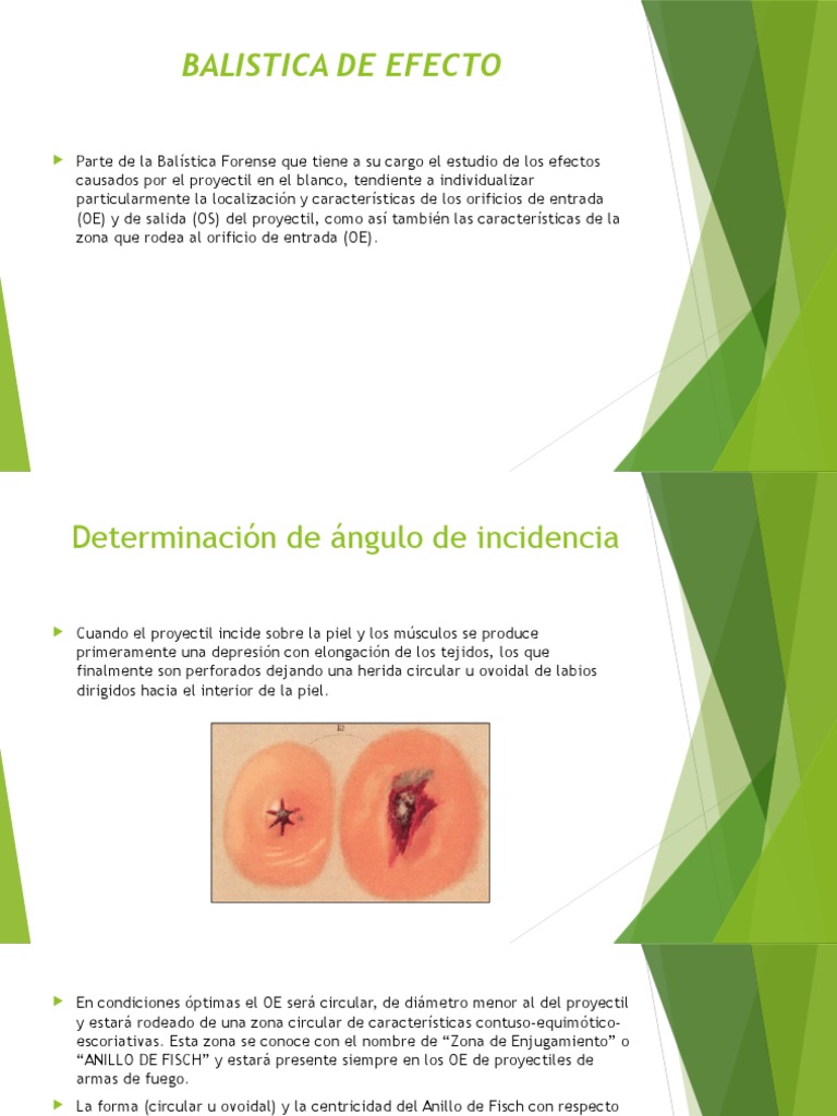 Balistica de Efecto | PDF | Pólvora | Proyectiles