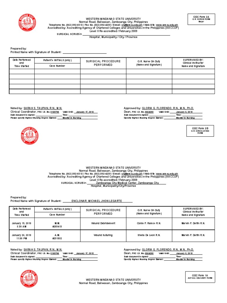 PRC Form New Format 2010 Western Mindanao State University | PDF | Nursing | Hospital
