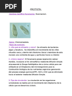 Partes y características del paramecio | PDF | Bioquímica | Química