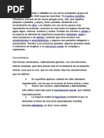 Partes y características del paramecio | PDF | Bioquímica | Química