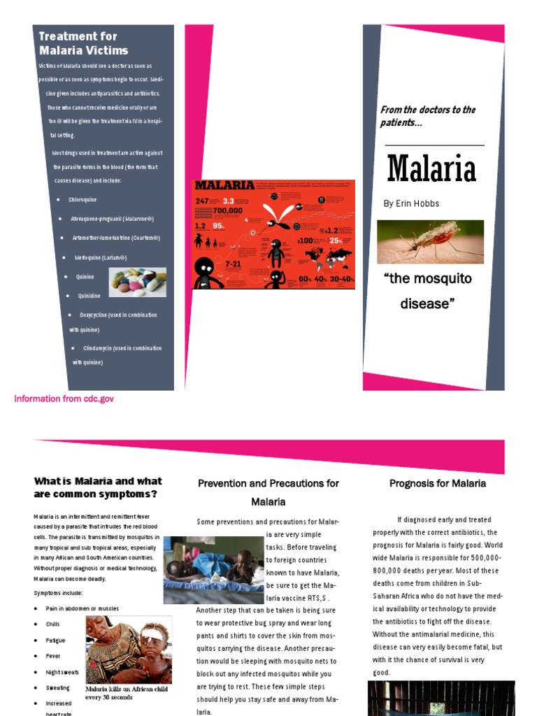 Malaria Brochure | PDF