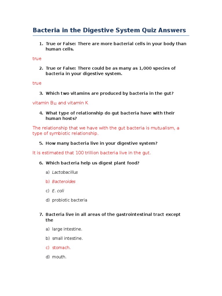 Digestive System Bacteria Quiz Answers | PDF