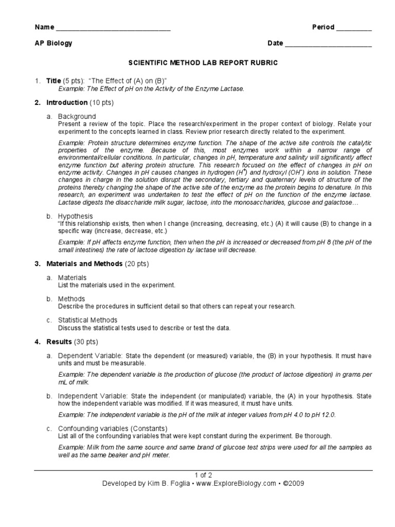 Lab Report Rubric | PDF | Enzyme | Experiment