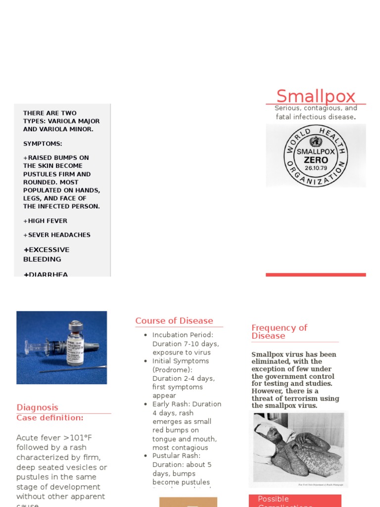Brochure | PDF