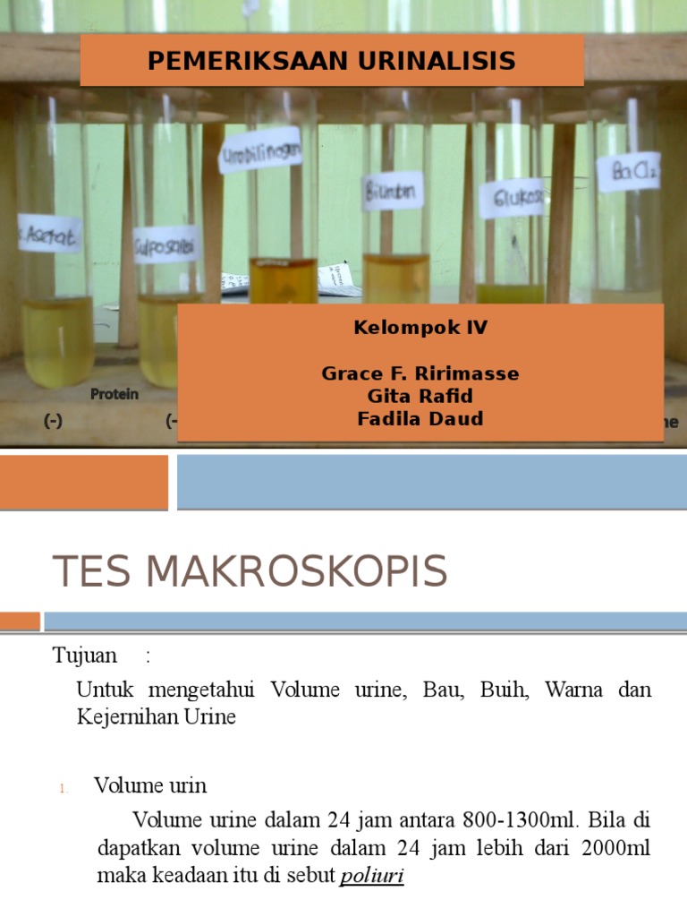 Pemeriksaan Urinalisis | PDF | Sains & Matematika