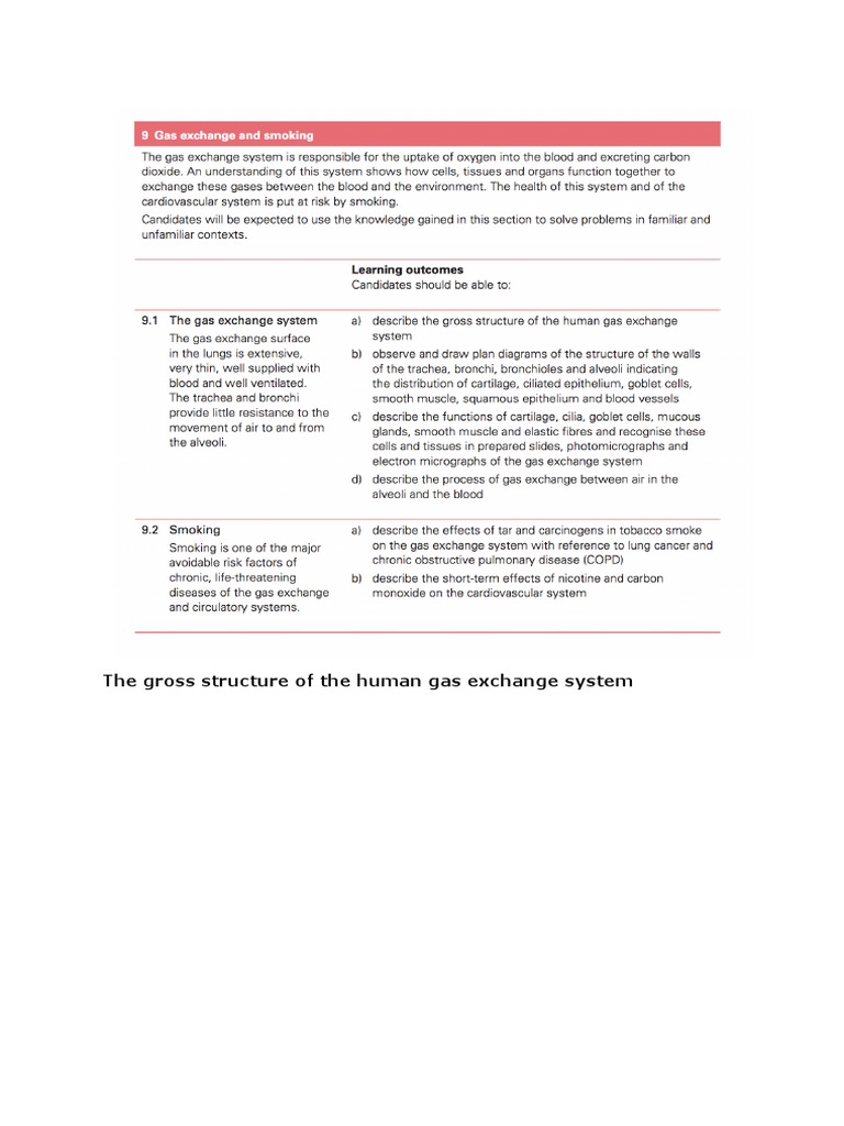 CIE A Level Biology - Gas Exchange | PDF | Respiratory Tract | Lung