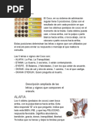 El Oráculo Del Coco | PDF | Religión y creencia