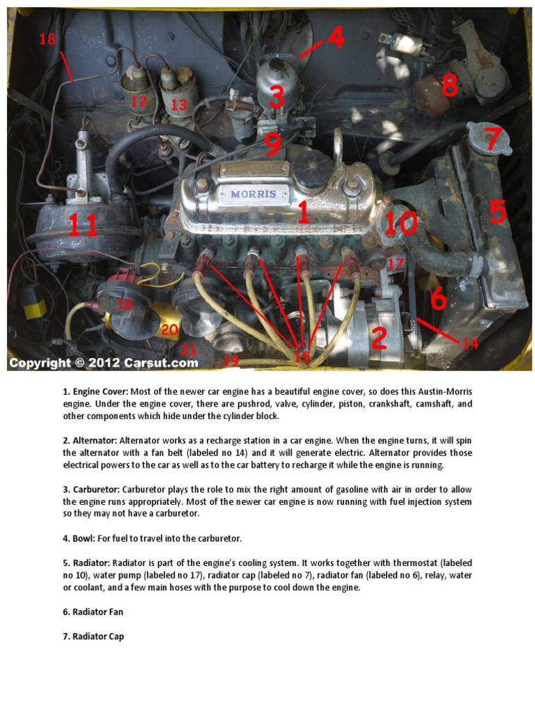 Cars Under The Bonnet or Hood Explained | PDF | Internal Combustion ...