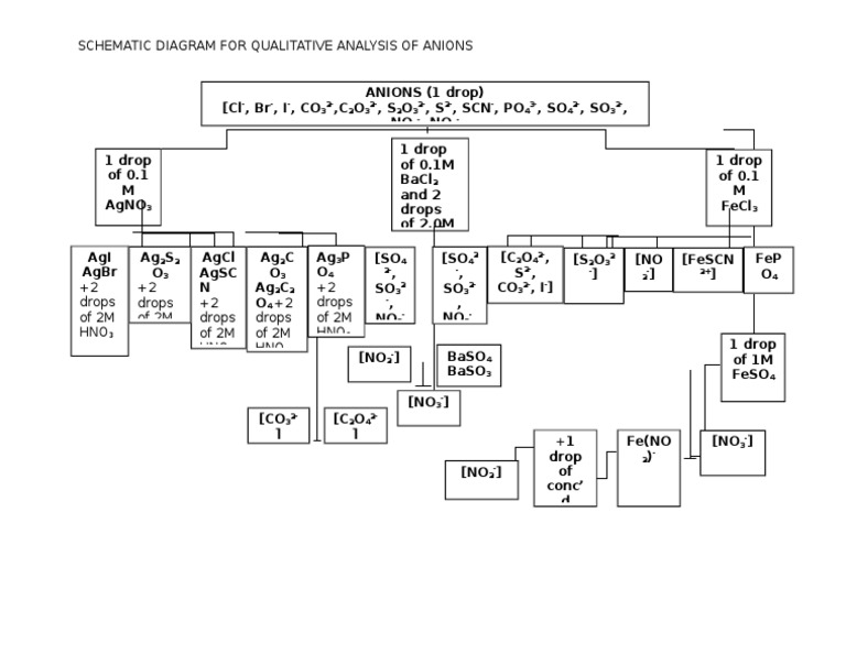 Schematic Diagram For Qualitative Analysis of Anions | PDF | Science ...