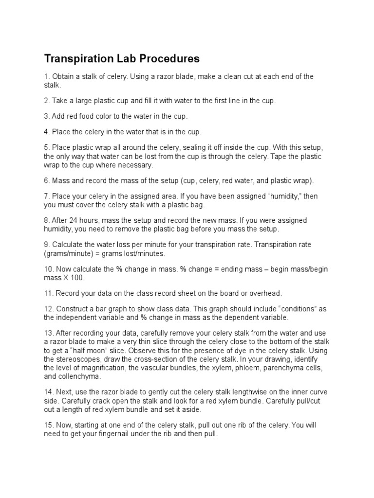 Celery Transpiration Experiment Guide | PDF