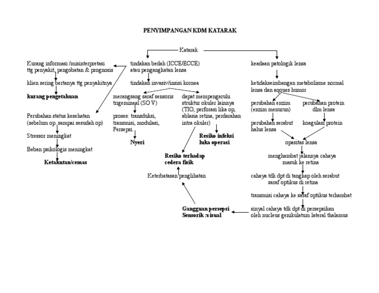 Pathway KATARAK | PDF