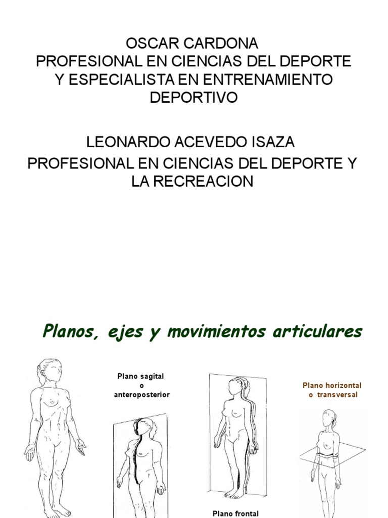 Planos y Ejes Corporales | Descargar gratis PDF | Codo | Hombro