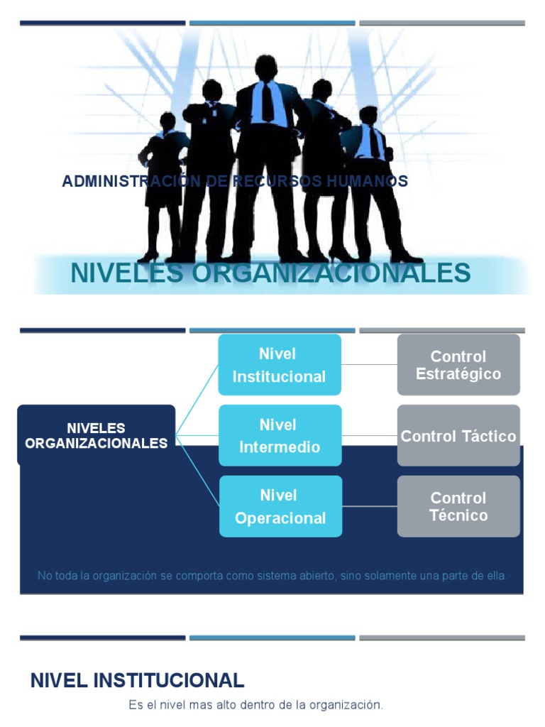 NIVELES ORGANIZACIONALES
