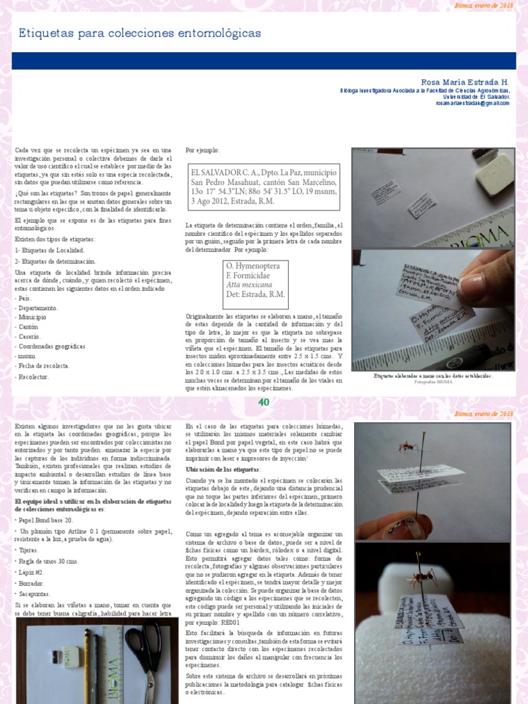 Etiquetas para Colecciones Entomologicas | PDF | Papel | Archivo de ...