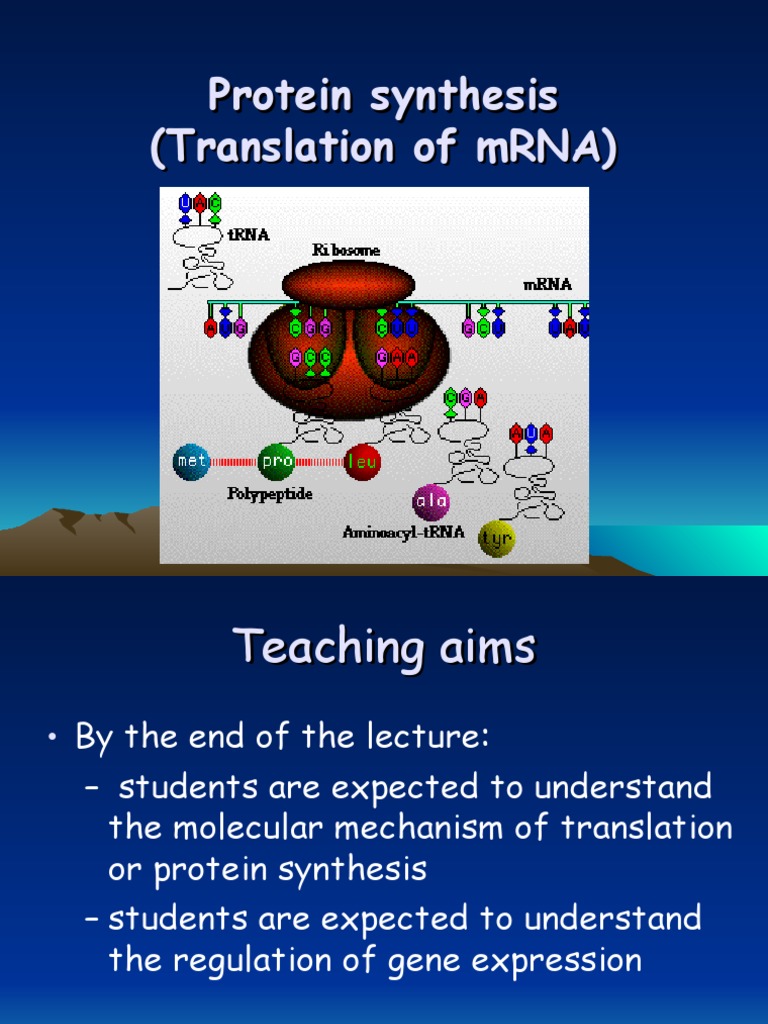 Protein Synthesis (Translation) | PDF | Translation (Biology) | Genetic ...