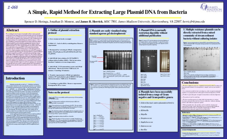 DNA isolation poster | Plasmid | Gel Electrophoresis