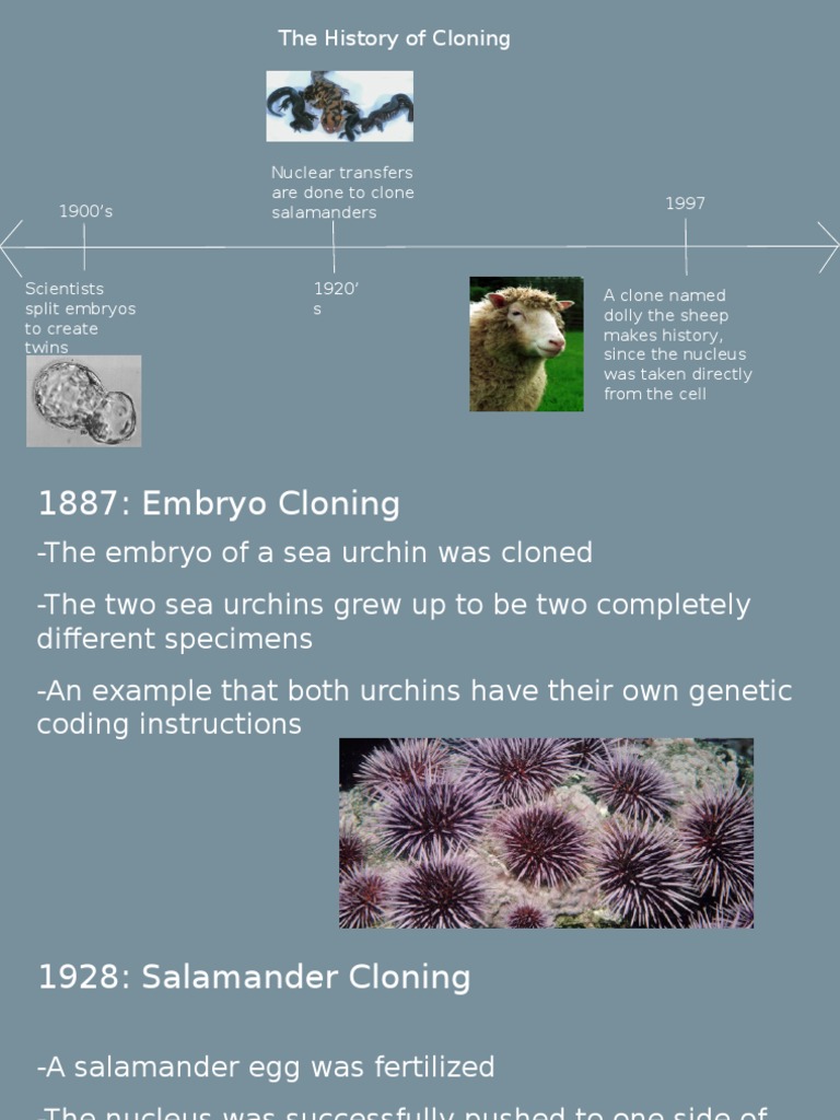 Timeline Cloning | PDF