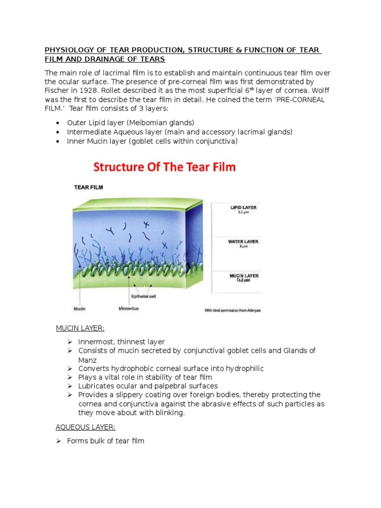 Physiology of Tear Production | PDF | Animal Anatomy | Human Head And Neck