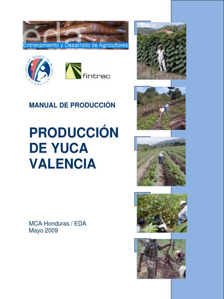 Producción de Yuca Valencia: Manual Práctico | PDF | Riego | Arado