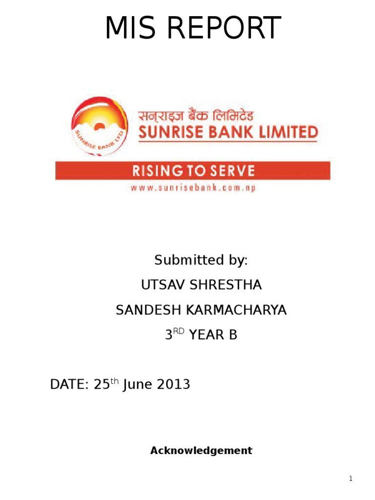 Mis Report | PDF | Credit (Finance) | Banks