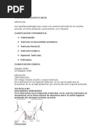 Clasificación de Fimosis Kayaba | PDF | Mamíferos machos | Pene