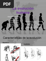 Dryopithecus | PDF | Hominidae | Homo Sapiens