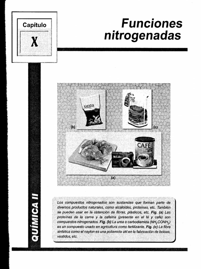 Funciones Nitrogenadas | PDF