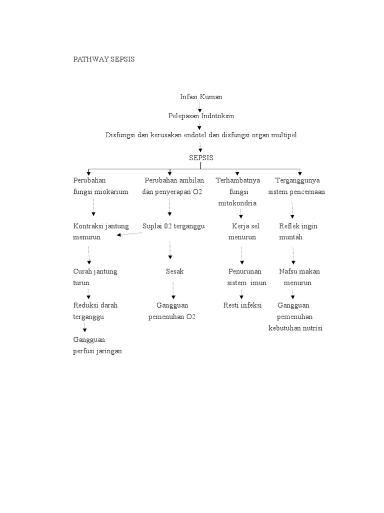 Pathway Sepsis | PDF