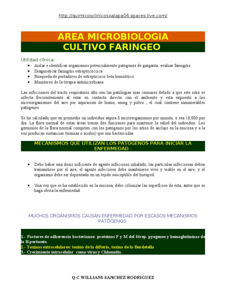 Exudado Faringeo
