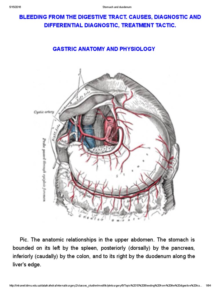 Stomach and Duodenum | PDF | Peptic Ulcer | Stomach
