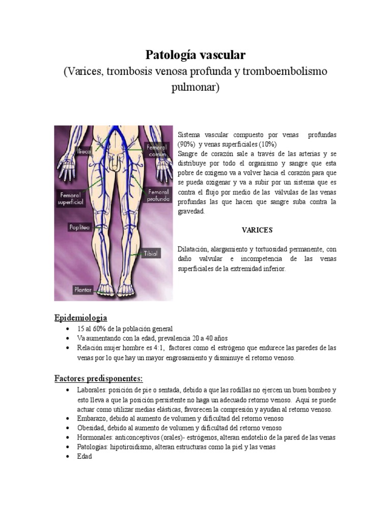 TVP | Descargar gratis PDF | Embolia | Trombo