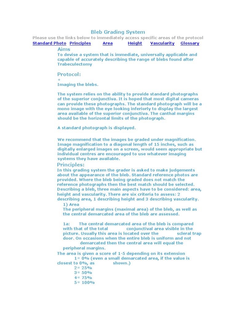 Bleb Grading System | PDF | Blood Vessel | Photograph