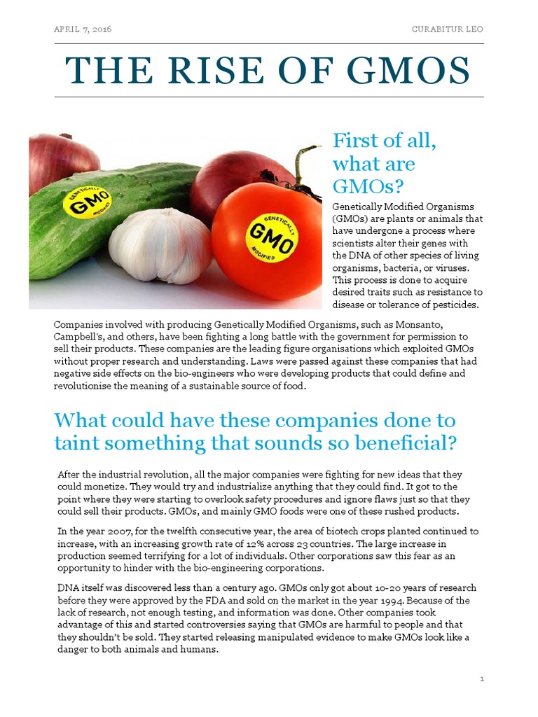GMOs Sergo | PDF | Genetically Modified Organism | Genetically Modified ...