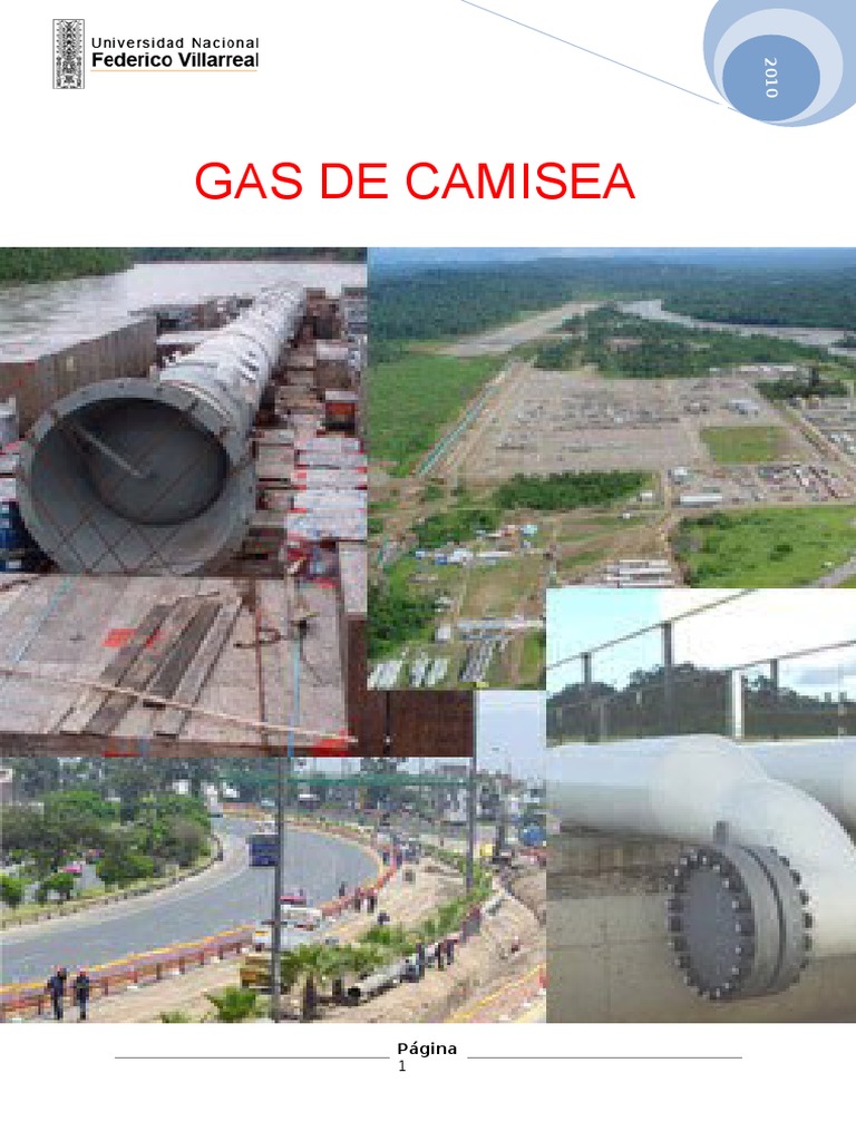 Gas Camisea | PDF | Energía y recursos | Naturaleza
