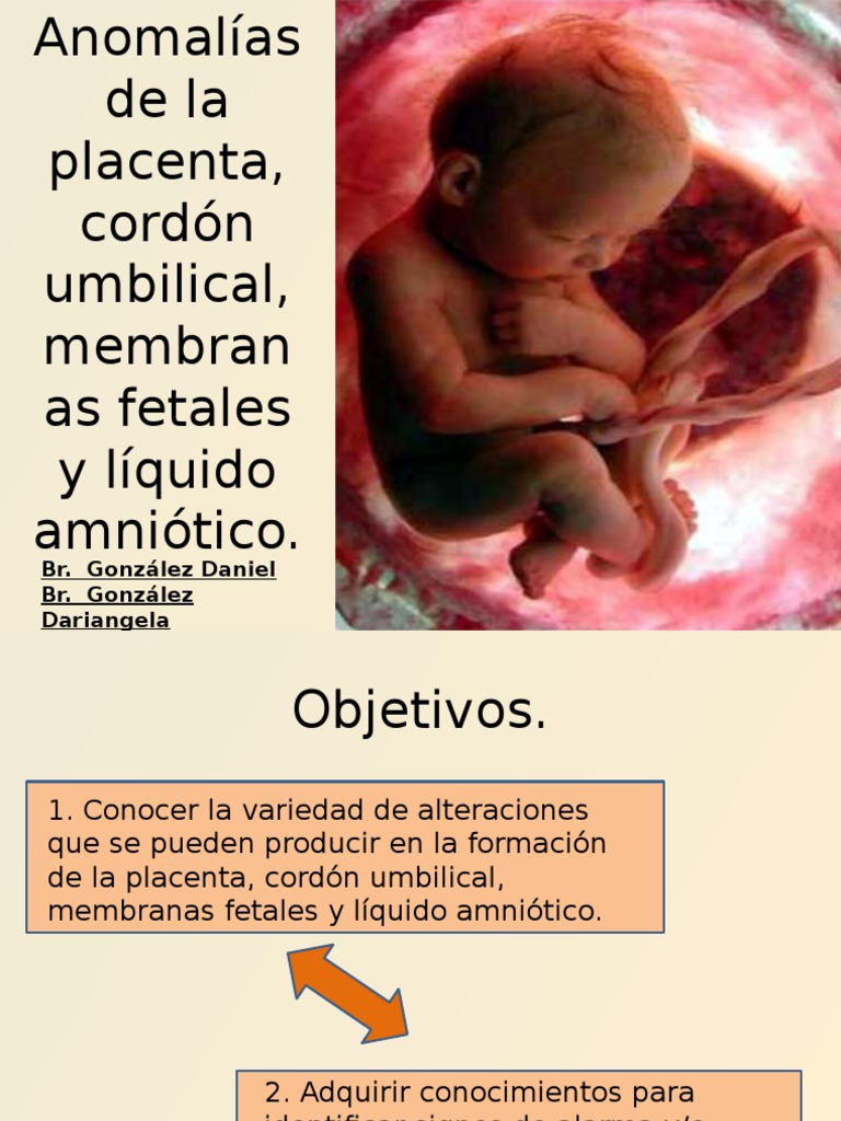 Anomalias de La Placenta | Placenta | Parto